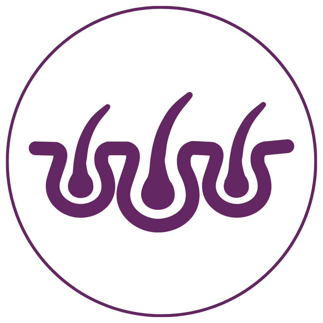 Congreso Circuto Curly Costa Rica